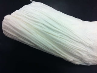 Grendel’s Arm Part 2: Paper Mache | PPT