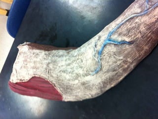 Grendel’s Arm 3: Painting | PPTX