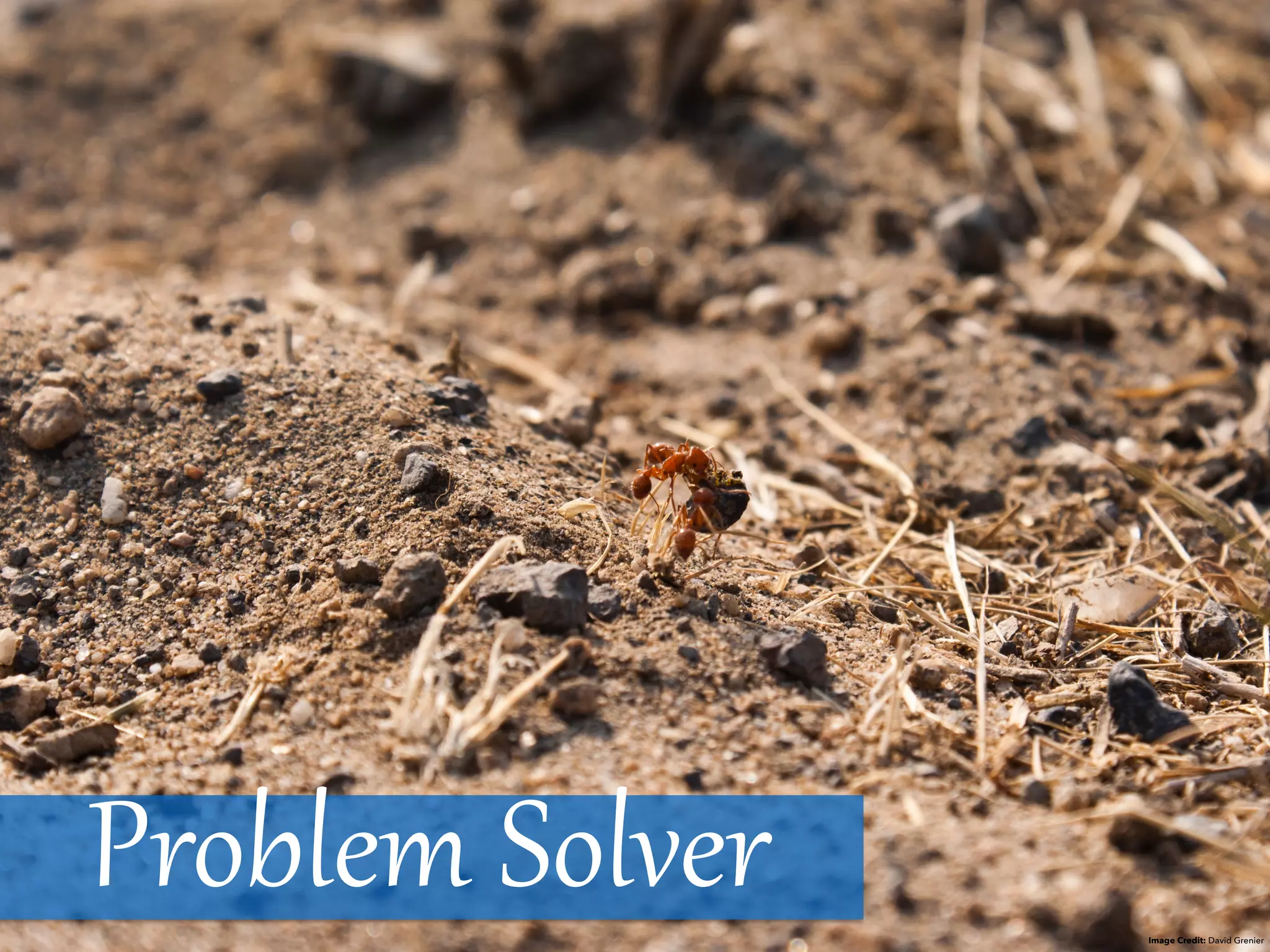 Personal Persona Project - David Grenier | PPT