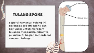 Grey and Pink Scientific Project Presentation.pdf