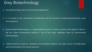 Grey Biotehnology | PPTX