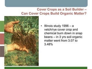 Building Better Soils with Cover Crops | PDF