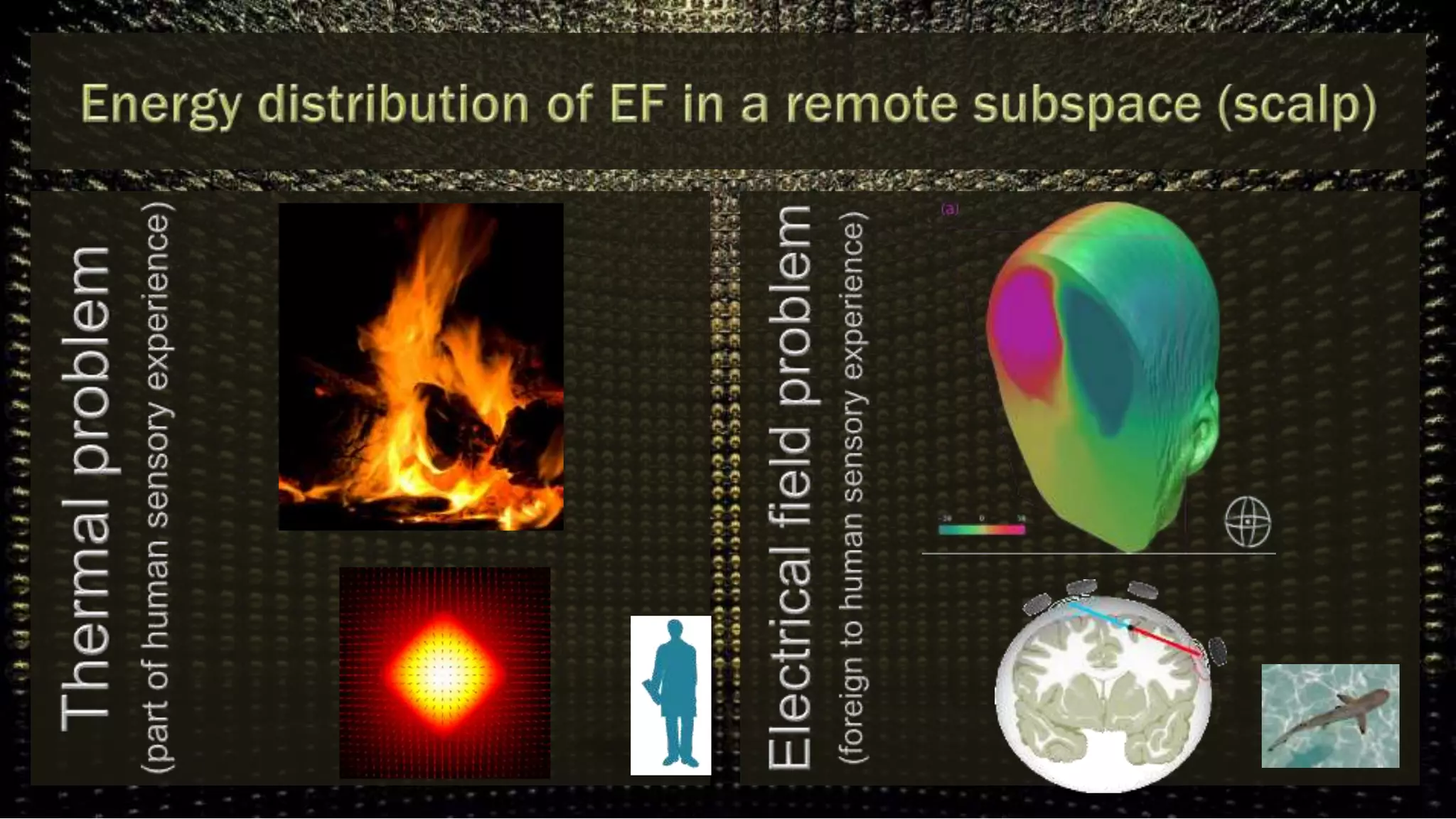 Tognoli: Using Grey matter constraints to estimate EEG sources | PPT