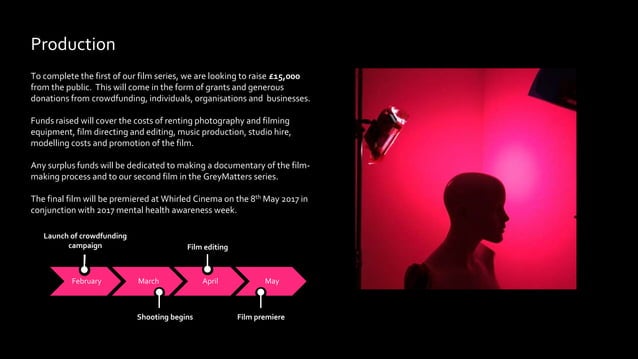 GreyMatters Story | PPTX