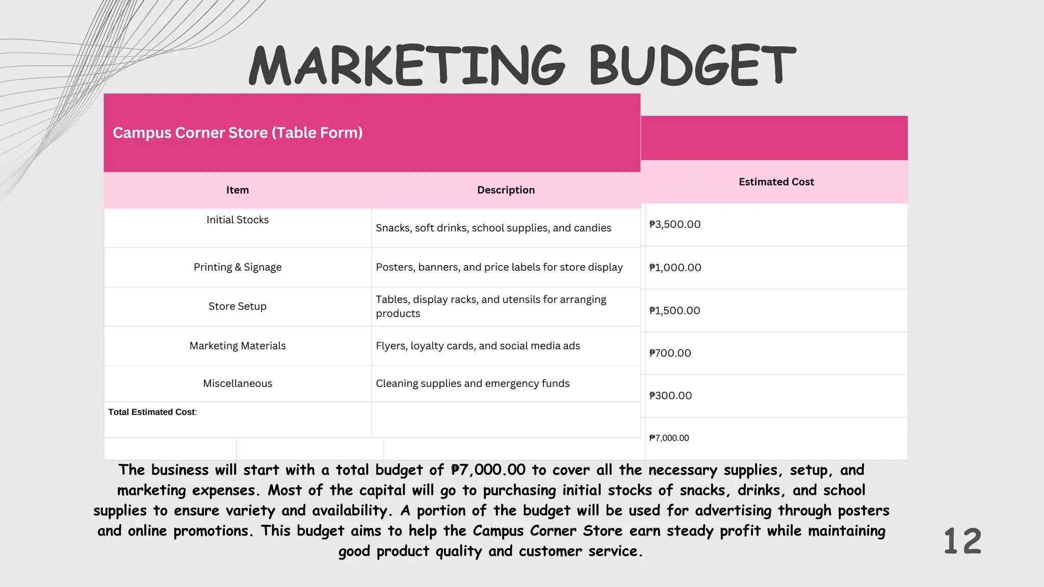 Mini-marketing Plan Presentation with Sample Format | PDF
