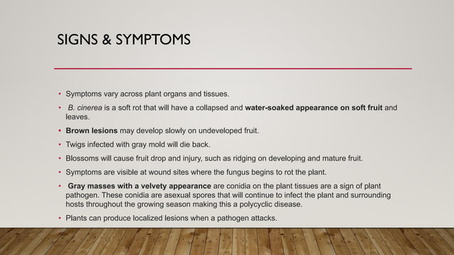 Grey mold | PDF | Gardening | Home & Garden