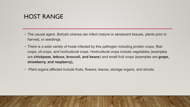 Grey mold | PDF | Gardening | Home & Garden