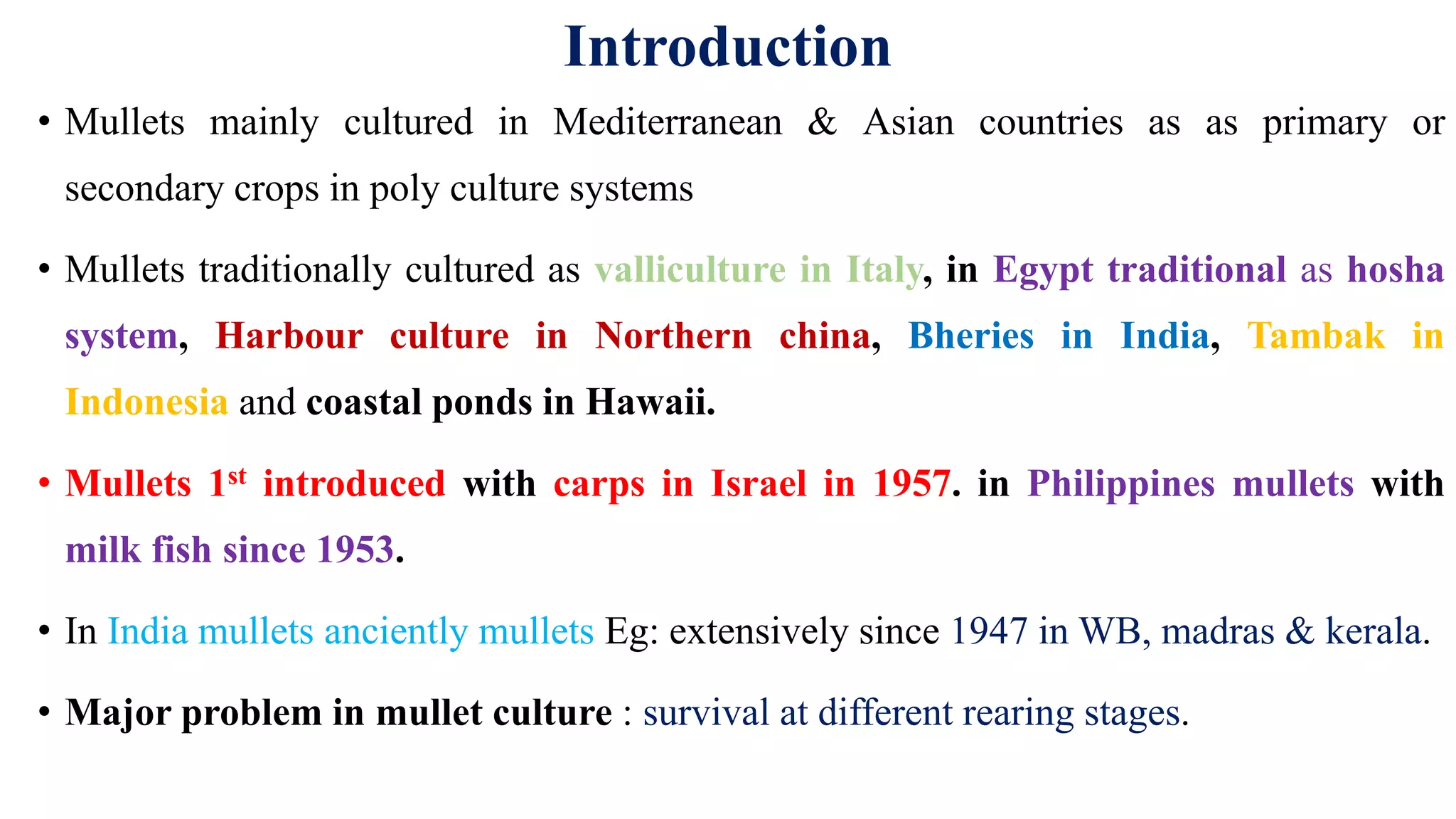Grey mullet culture | PPTX