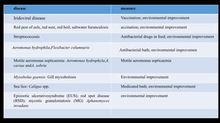 Grey mullet culture | PPTX