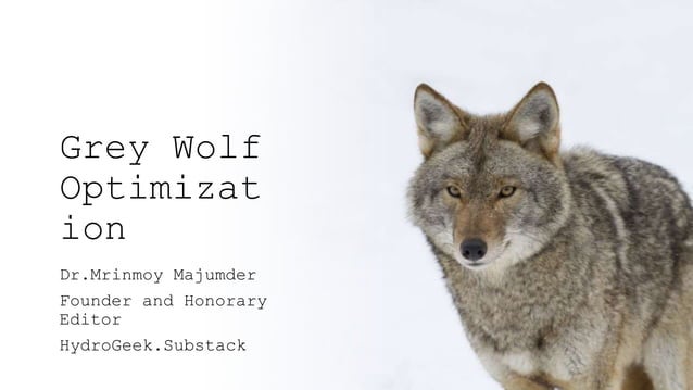 Lecture on Grey Wolf Optimization Techniques | PPTX