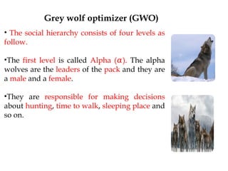 Grey_wolf_optimizer Grey_wolf_optimizer.pptx