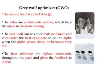 Grey_wolf_optimizer Grey_wolf_optimizer.pptx