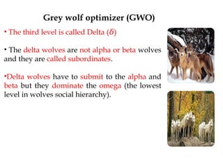 Grey_wolf_optimizer Grey_wolf_optimizer.pptx