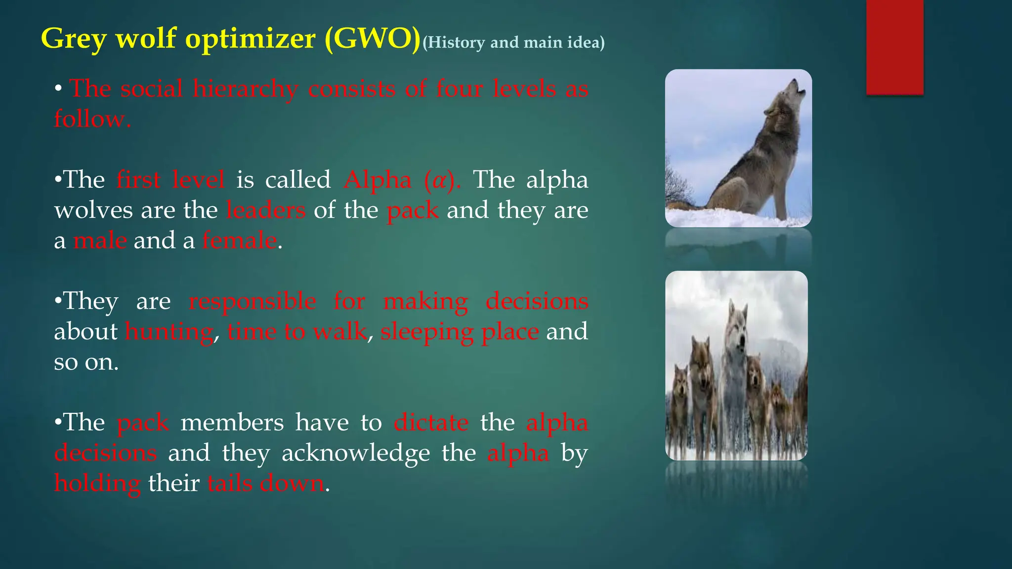 Grey Wolf Optimizer (GWO) (Swarm Intelligence) | PPTX