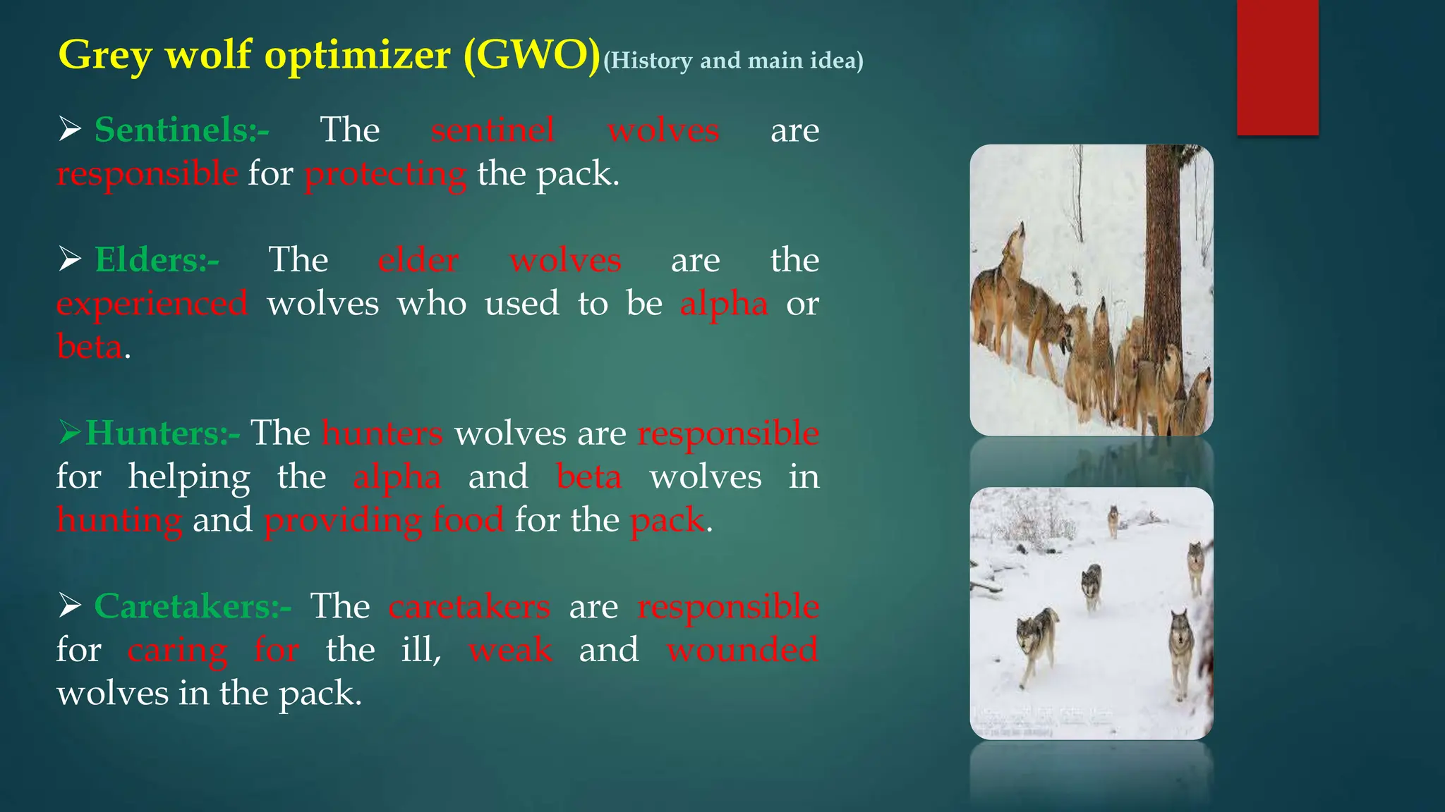 Grey Wolf Optimizer (GWO) (Swarm Intelligence) | PPTX