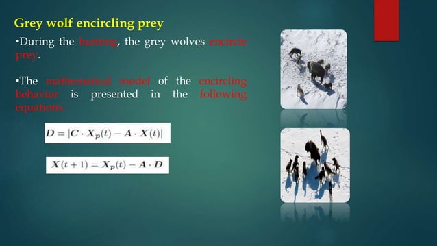 Grey Wolf Optimizer (GWO) (Swarm Intelligence) | PPTX