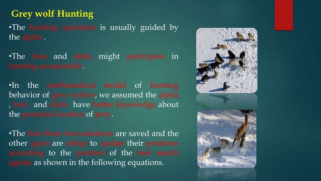 Grey Wolf Optimizer (GWO) (Swarm Intelligence) | PPTX