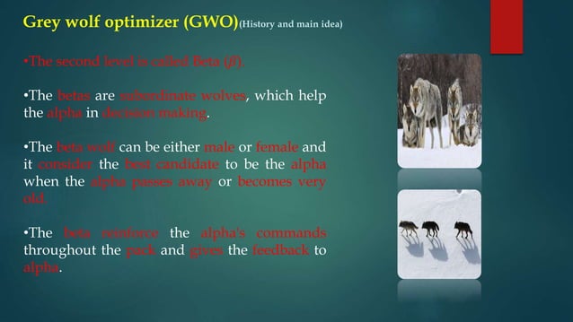 Grey Wolf Optimizer (GWO) (Swarm Intelligence) | PPTX