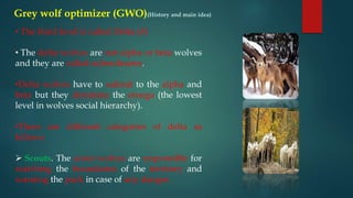 Grey Wolf Optimizer (GWO) (Swarm Intelligence) | PPTX