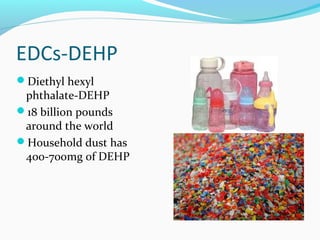 Prenatal Exposure to Mixtures of Endocrine Disrupting Chemicals and its ...