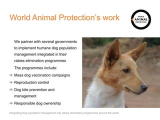 Dog Population Management Beryl MUTONONO-WATKISS | PPT