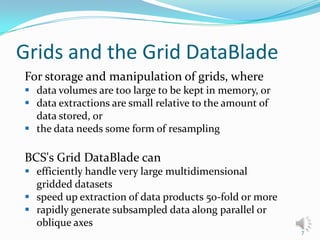 Grid DataBlade - short | PPTX | 3-D Graphics | Computer Software and Applications