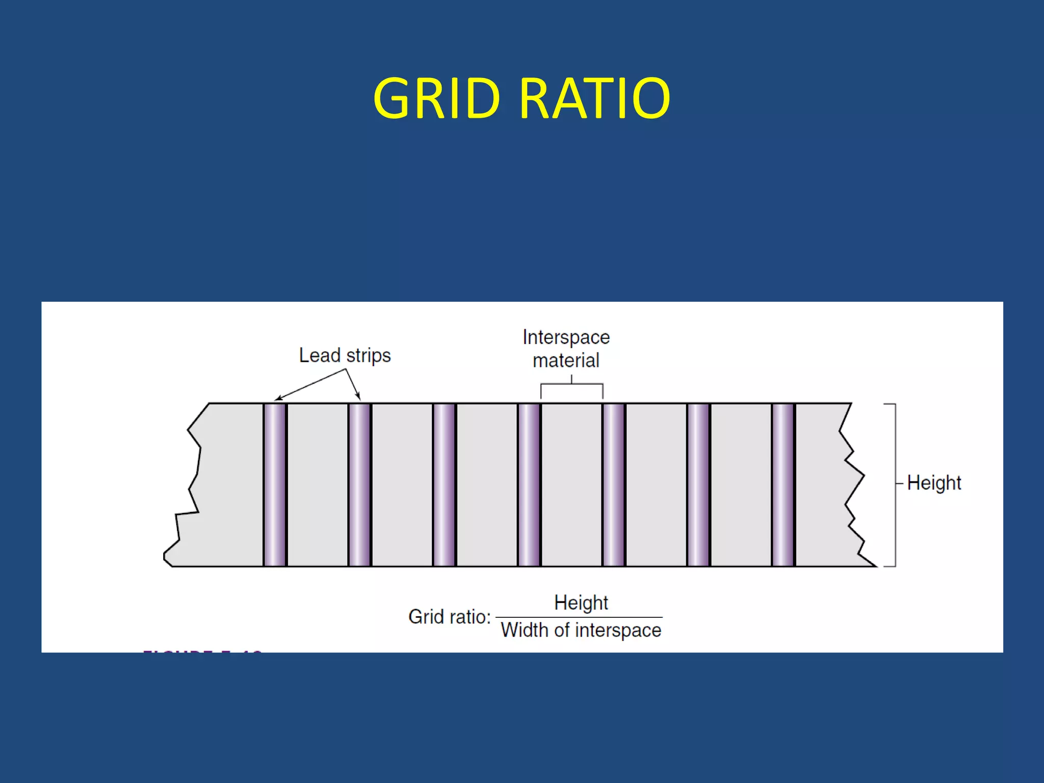 Grids | PDF