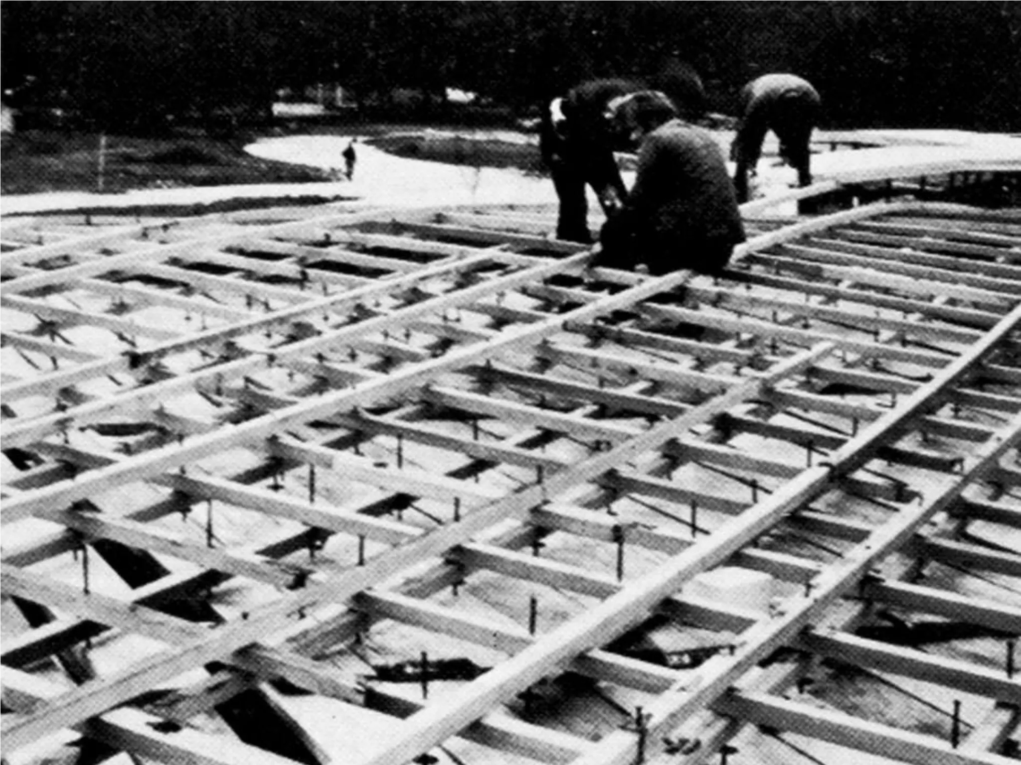 Understanding Gridshell Structures - Mannheim Multihalle Case Study | PDF