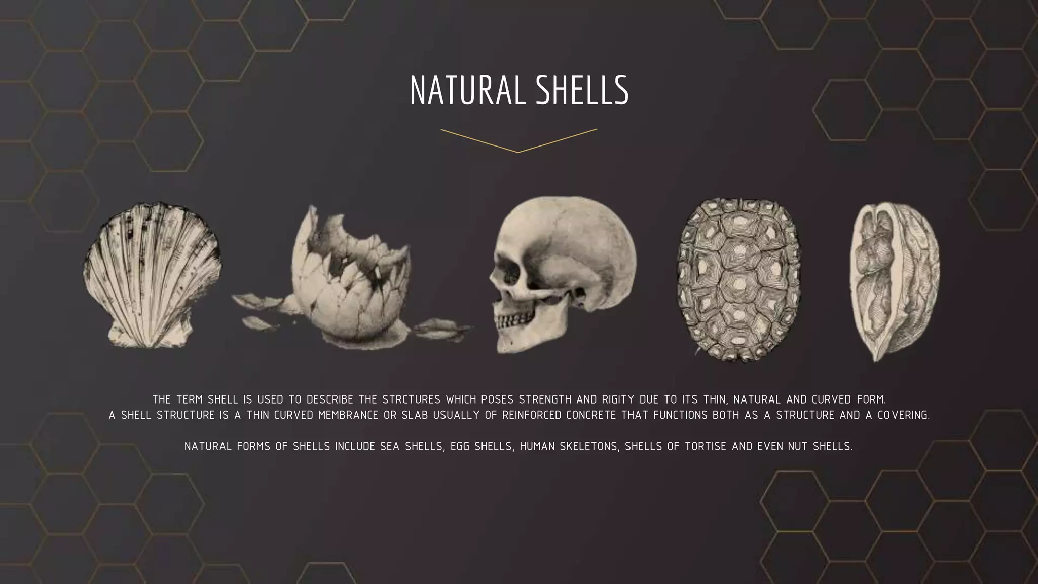 GRIDSHELL Structures | PPTX