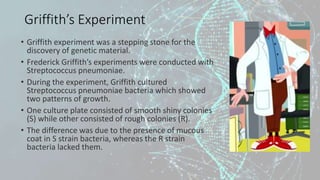 Griffith experiment | PPTX