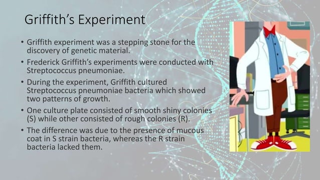 Griffith experiment | PPTX