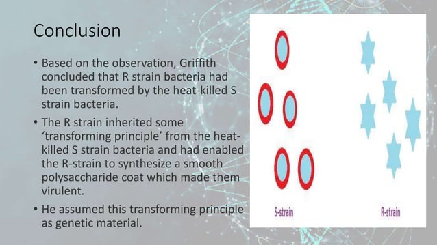 Griffith experiment | PPTX