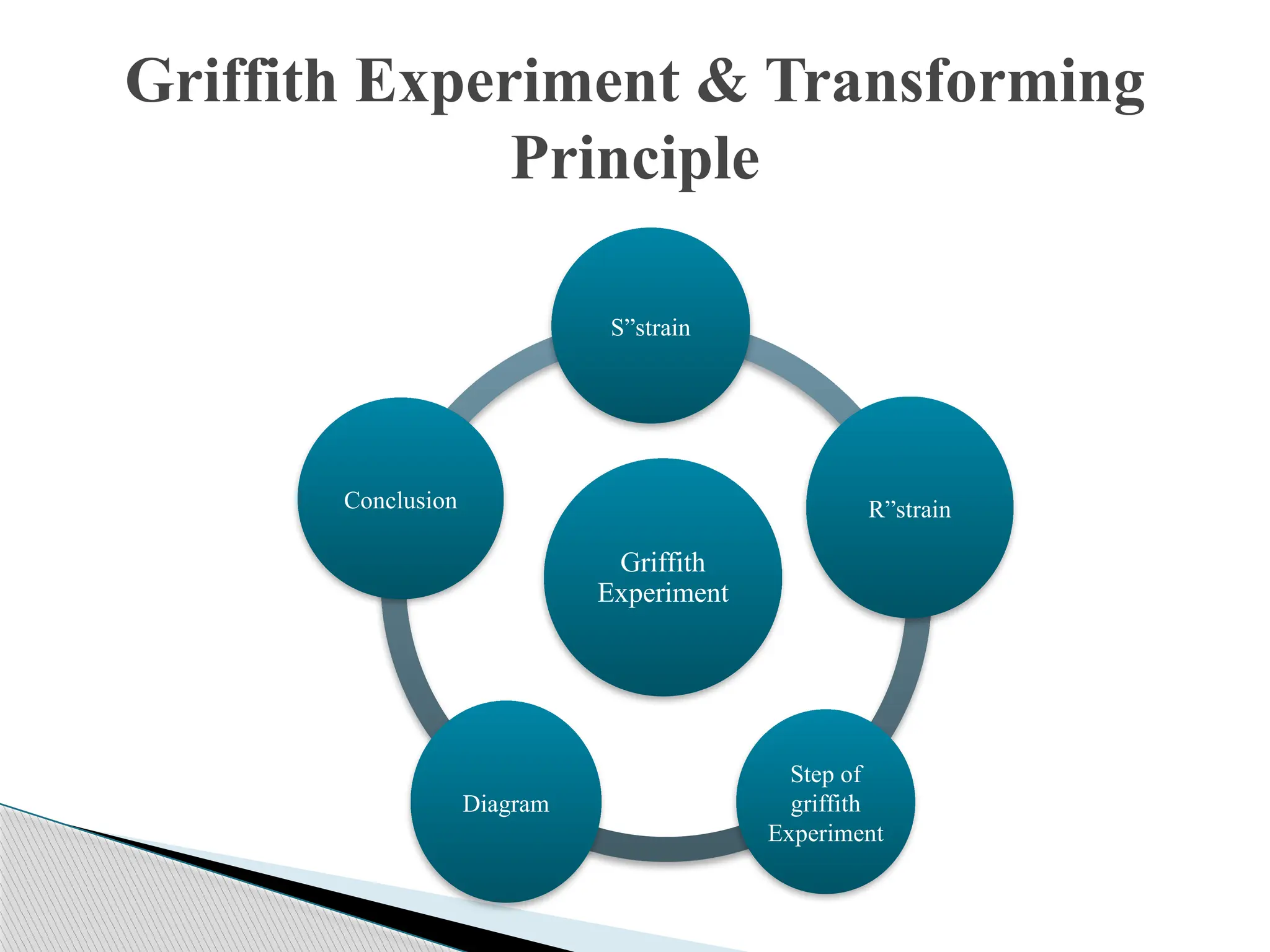 Griffith experiment transformation principle-molecular biology | PPTX