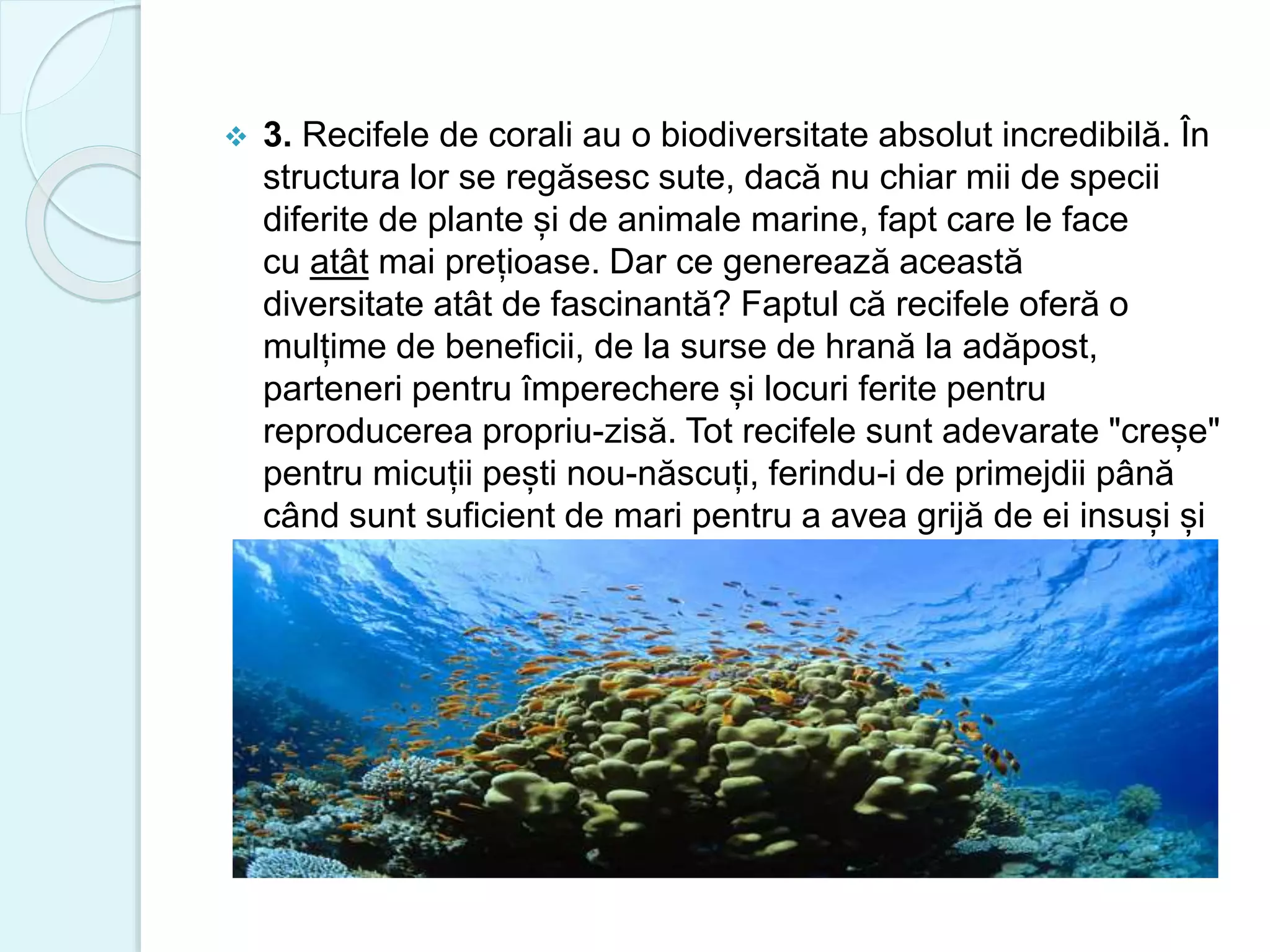 Bariera de corali din austrlia | PPTX