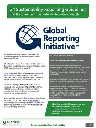 Liniile Directoare G4 ale Global Reporting Initiative | PDF