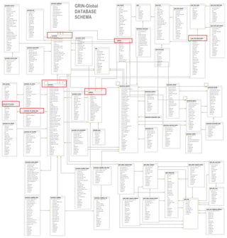 Quick Summary of GRIN-Global schema database | PDF