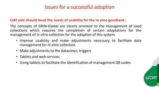 GRIN global pilot data migration for in vitro cassava collection at CIAT | PPTX | Databases ...