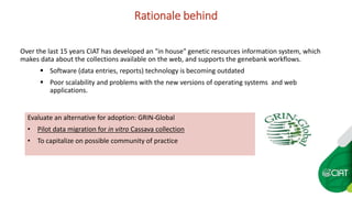 GRIN global pilot data migration for in vitro cassava collection at CIAT | PPTX | Databases ...