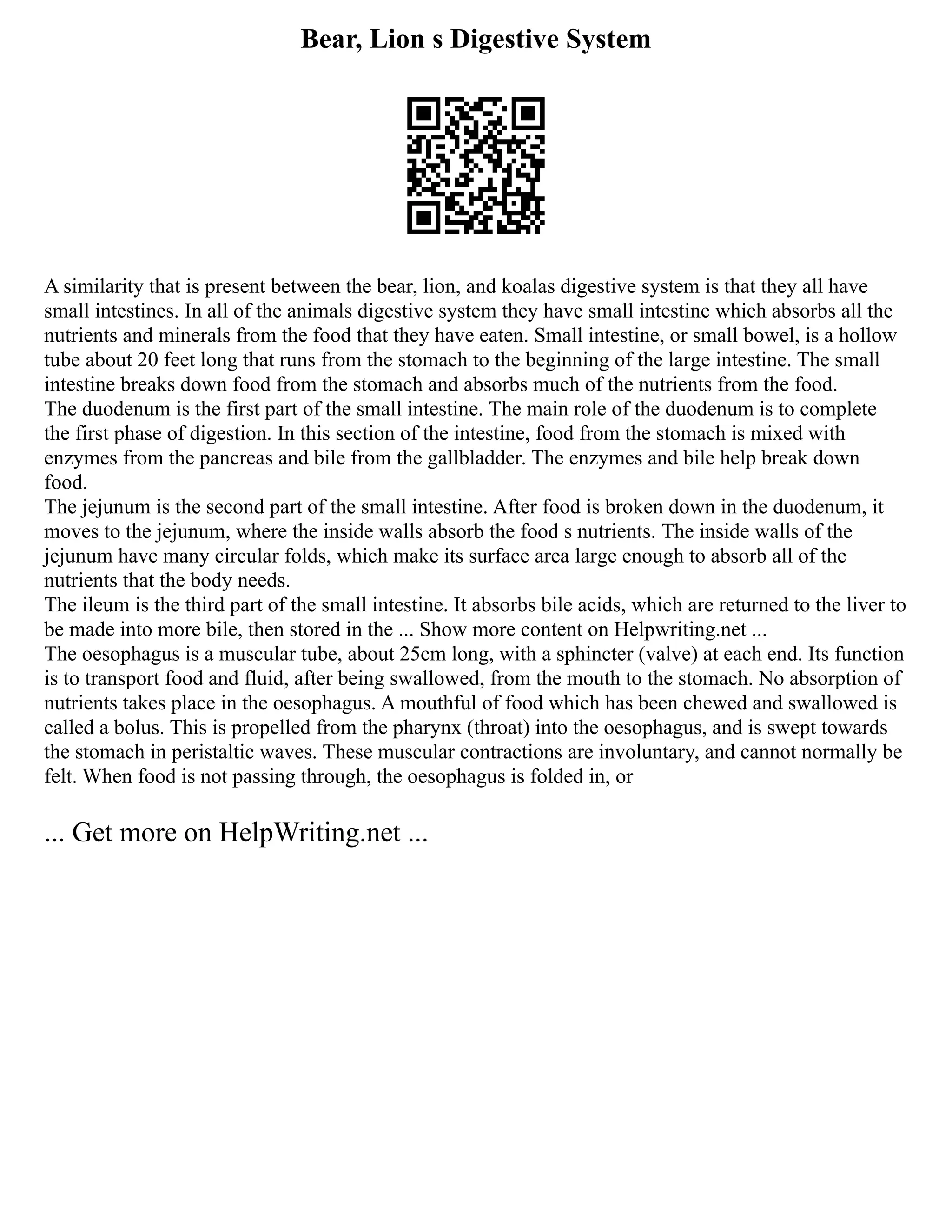 Grinch Writing Activity | PDF