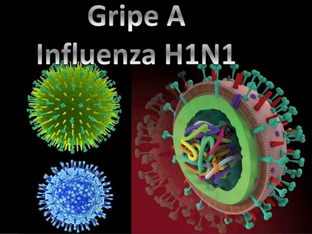 Gripe A H1N1