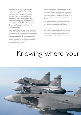Gripen seeing is_believing | PDF