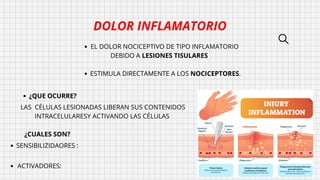 fisiologia del dolor facultad de medicina | PDF