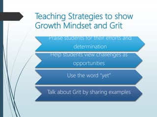 Grit and growth mindset | PPTX