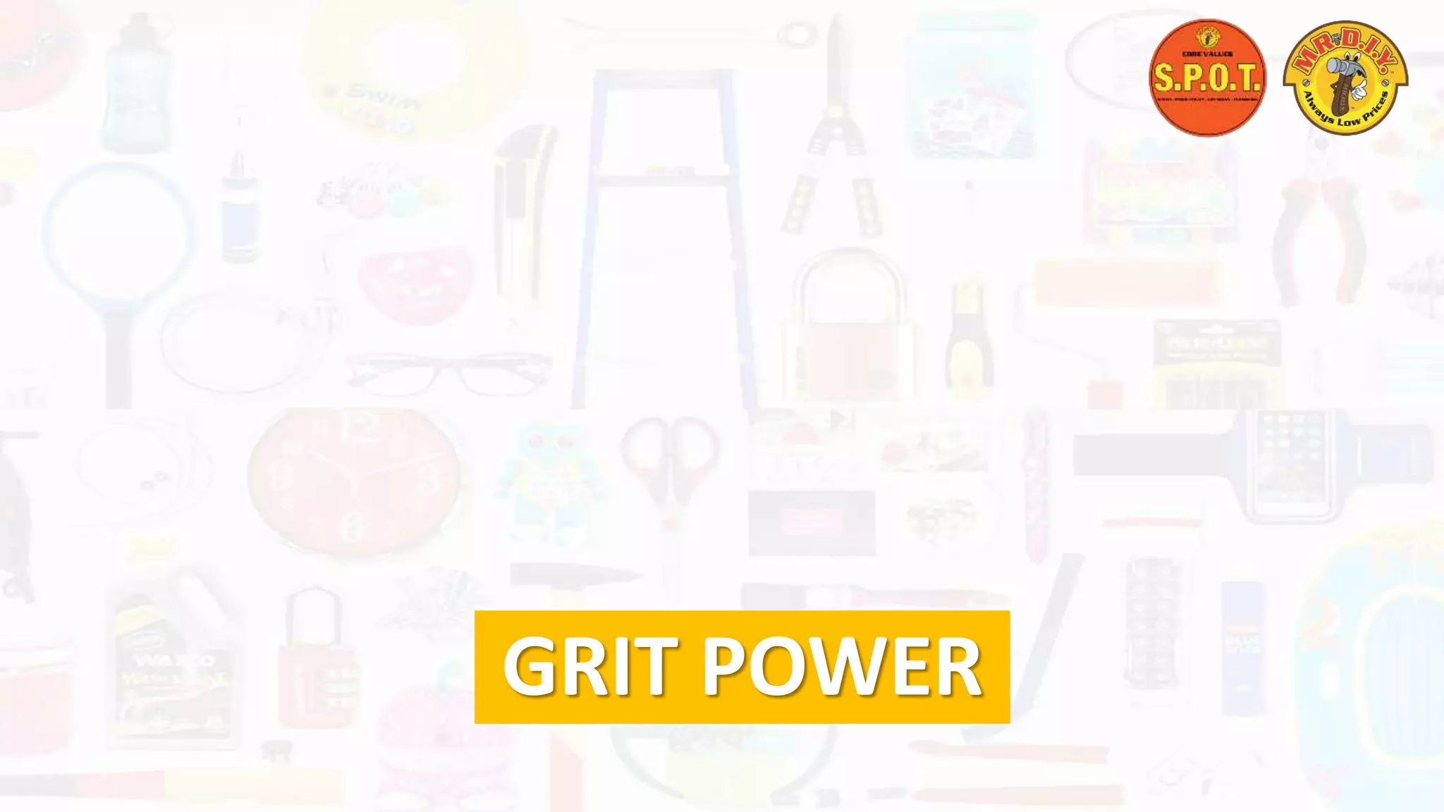GRIT POWER.pptx