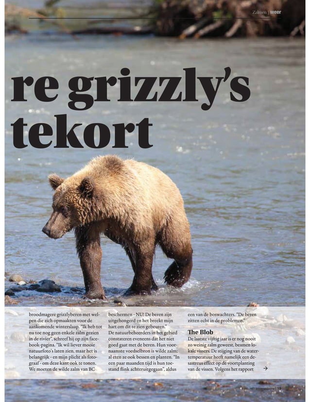 Grizzly | PDF