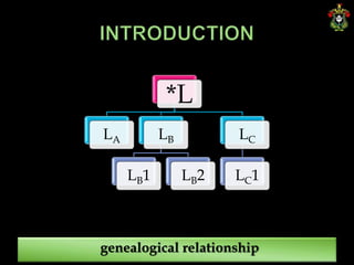 Genealogical Relationship of Language and Culture of South Halmahera ...