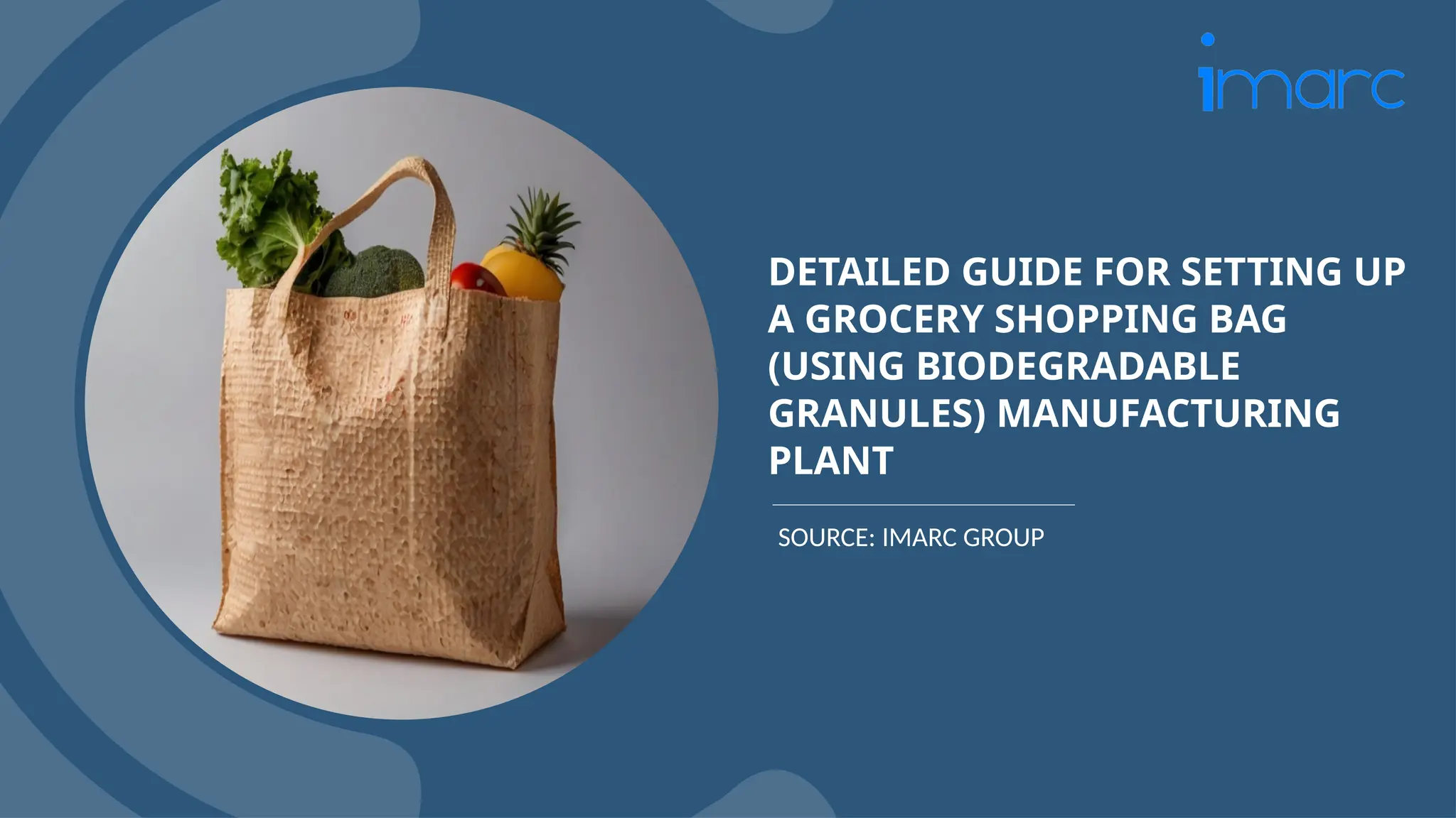 Grocery Shopping Bag (using Biodegradable Granules) Manufacturing Plant ...