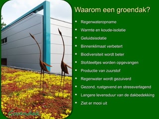 Groendak info | PPT