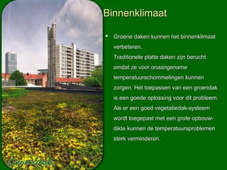 Groendak info | PPT