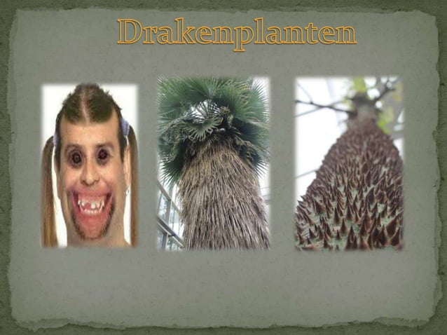 Groene week | PPTX | Dining Out | Food & Drink